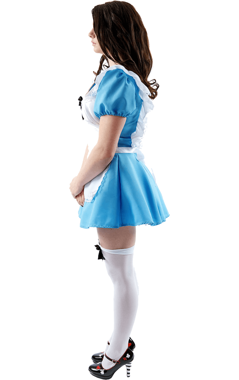 Adult Traditional Alice Costume Uk